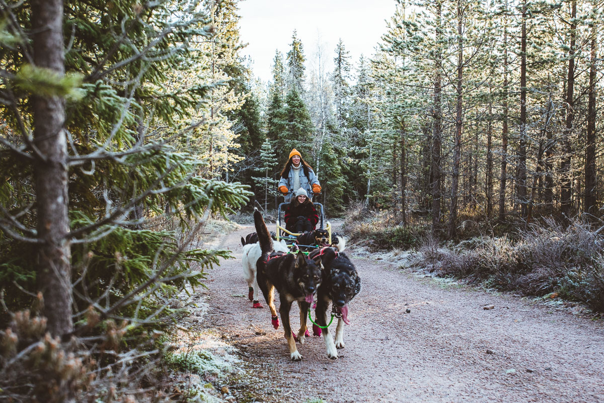 Early Winter Family Husky Adventure